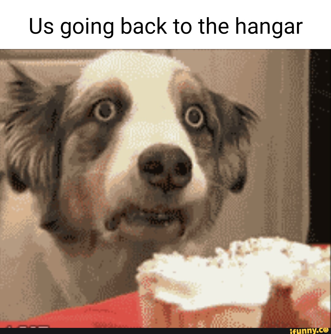 Us going back to the hangar - iFunny