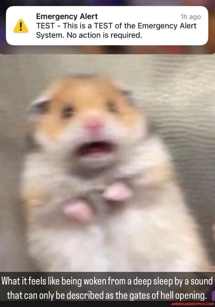 Emergency Alert ago TEST - This is a TEST of the Emergency Alert System ...