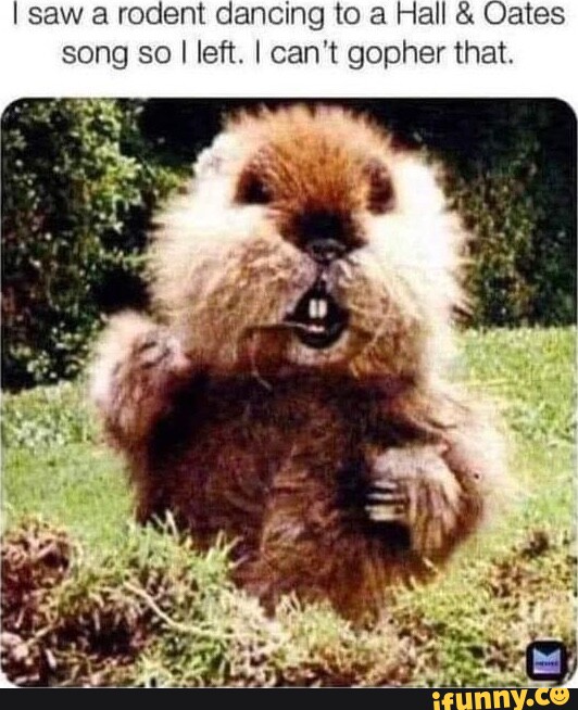 Gopher memes. Best Collection of funny Gopher pictures on iFunny
