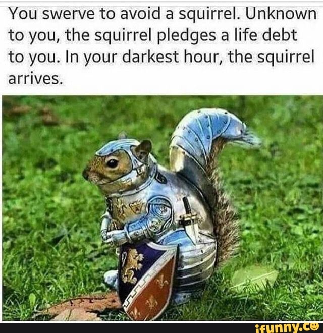 You swerve to avoid a squirrel. Unknown to you, the squirrel pledges a ...