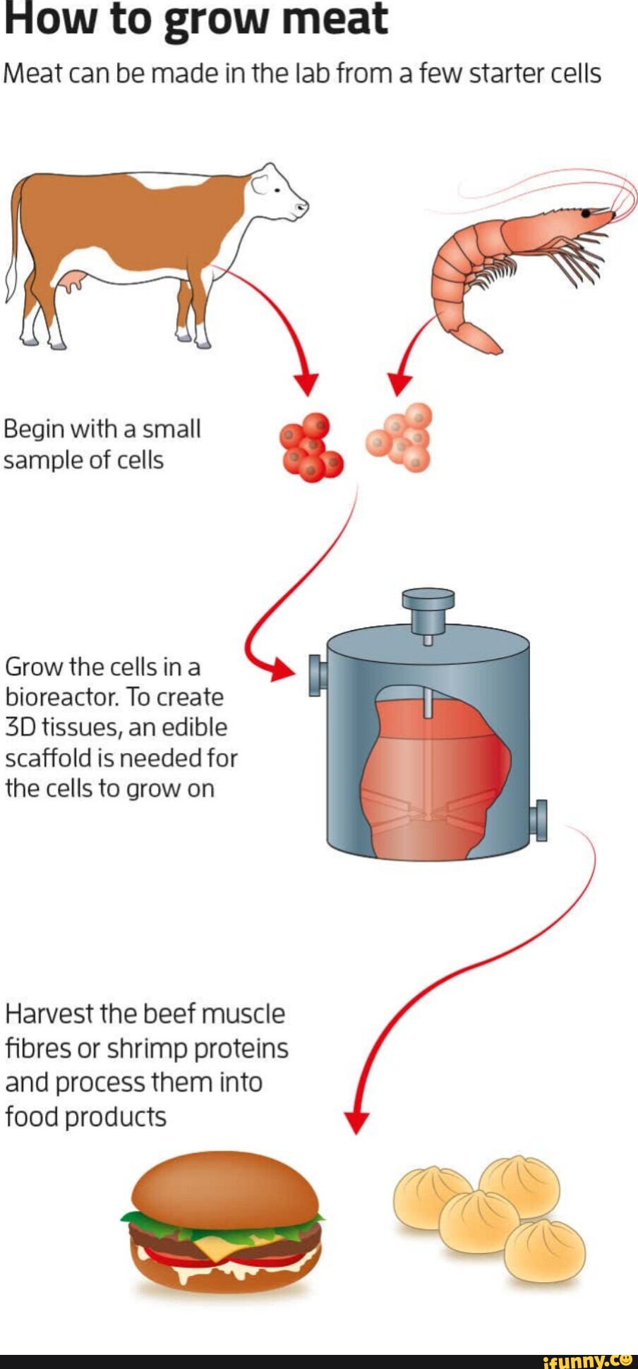 Scaffold memes. Best Collection of funny Scaffold pictures on iFunny