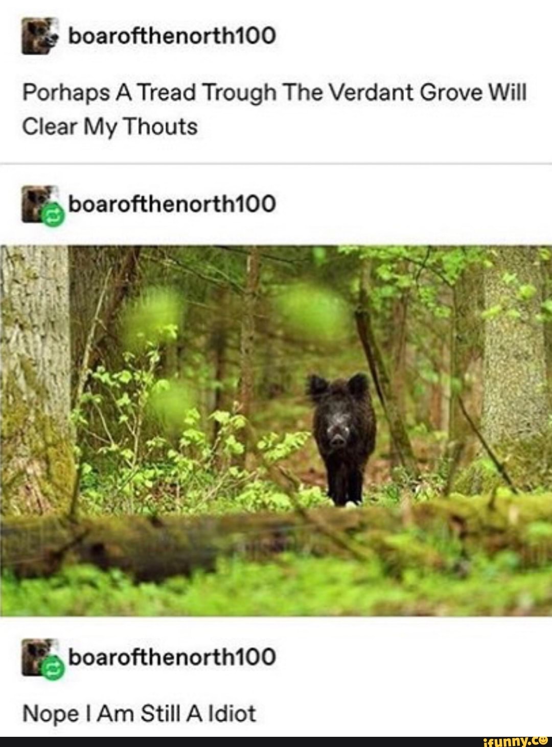 ' boarofthenorth100 Porhaps A Tread Trough The Verdant Grove Will Clear ...