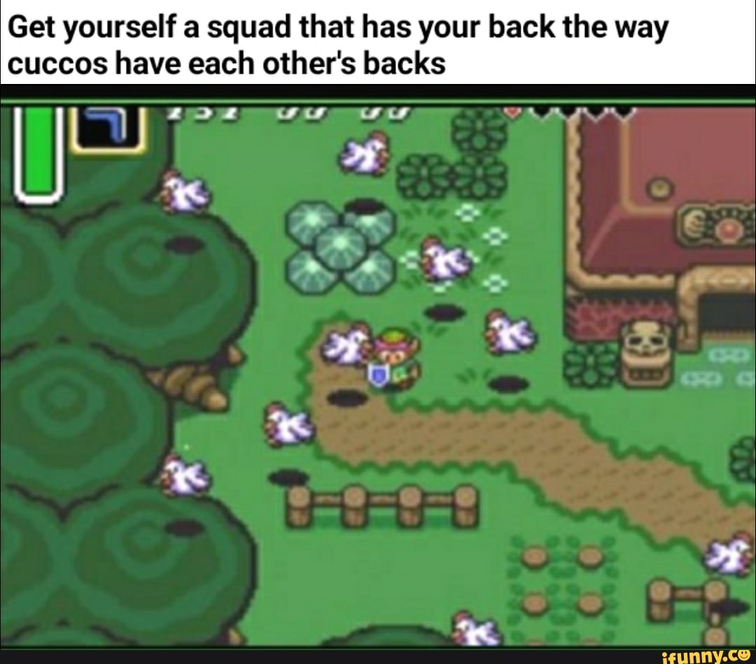 Cuccos memes. Best Collection of funny Cuccos pictures on iFunny