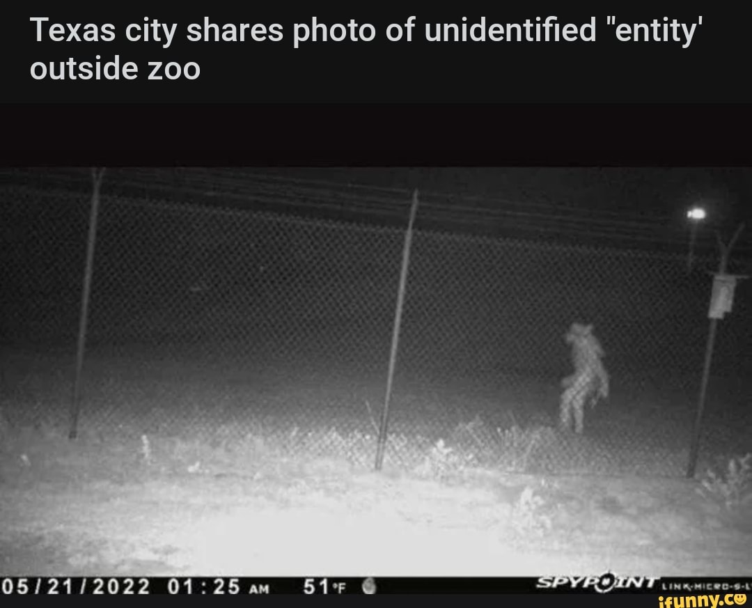 Texas city shares photo of unidentified "entity' outside zoo - iFunny