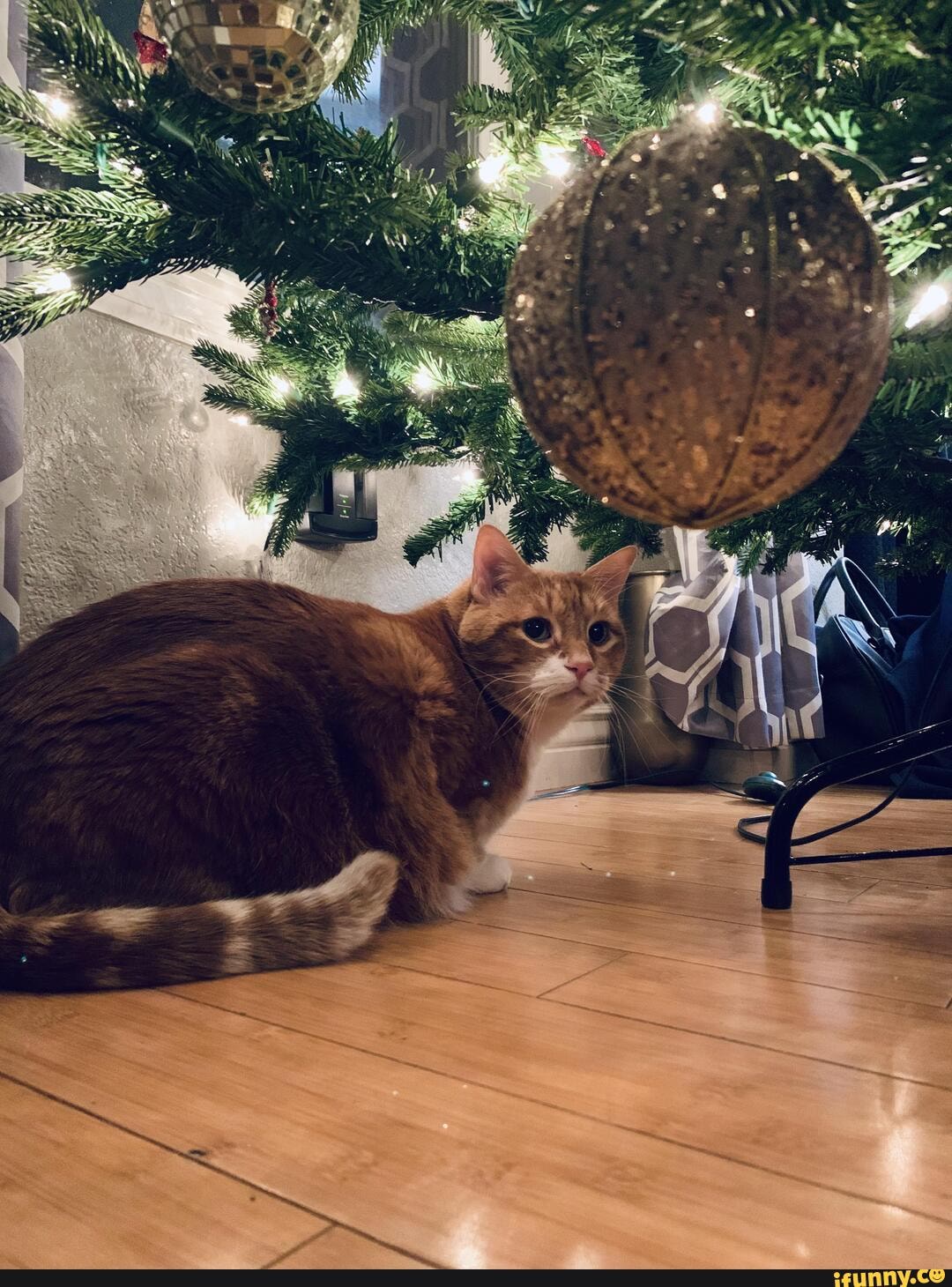 Tickety memes. Best Collection of funny Tickety pictures on iFunny