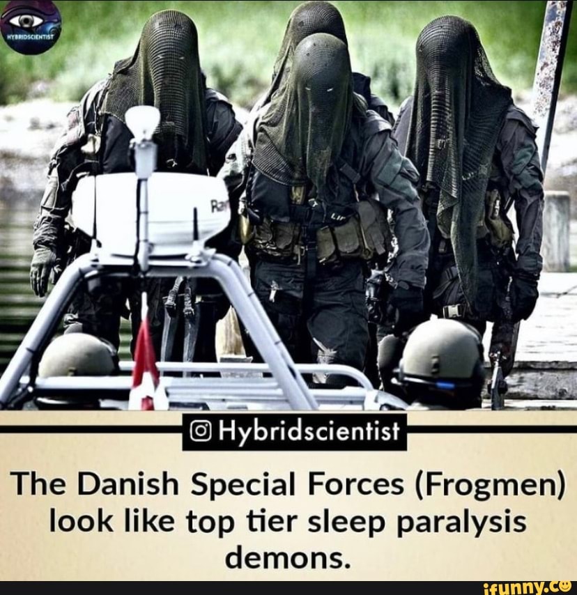 Hybridscientist The Danish Special Forces (Frogmen) look like top tier ...