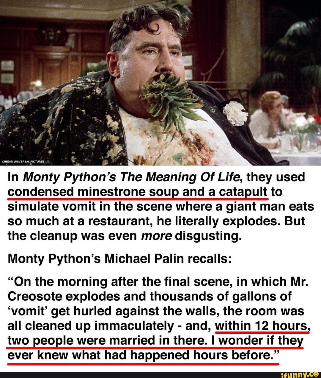 Minestrone memes. Best Collection of funny Minestrone pictures on iFunny