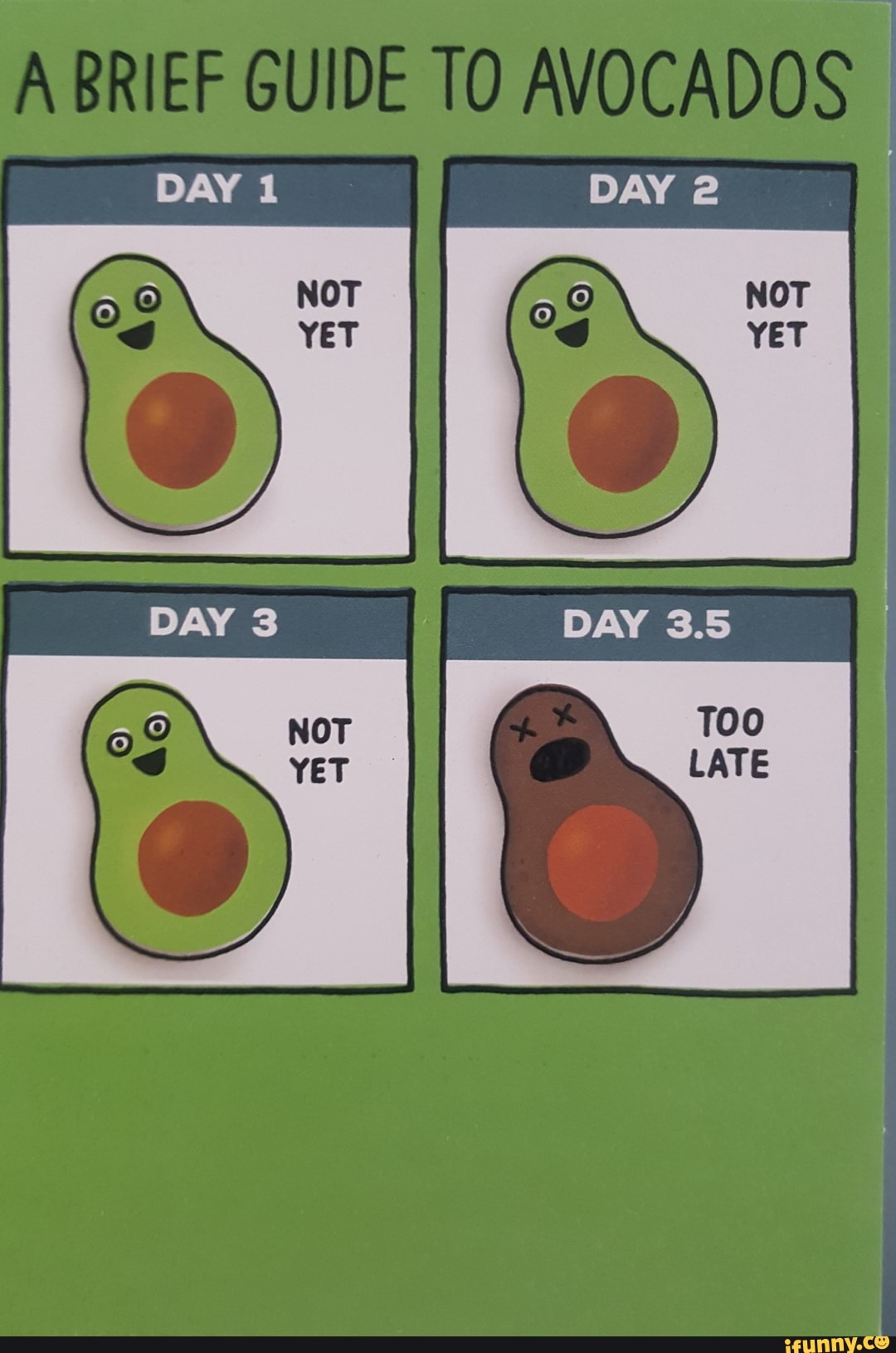 A BRIEF GUIDE TO AVOCADOS DAY DAY DAY DAY 3.5 - iFunny