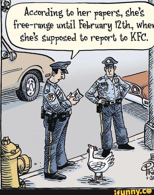 I'm not good at holding conversations can hold your hand instead? - iFunny