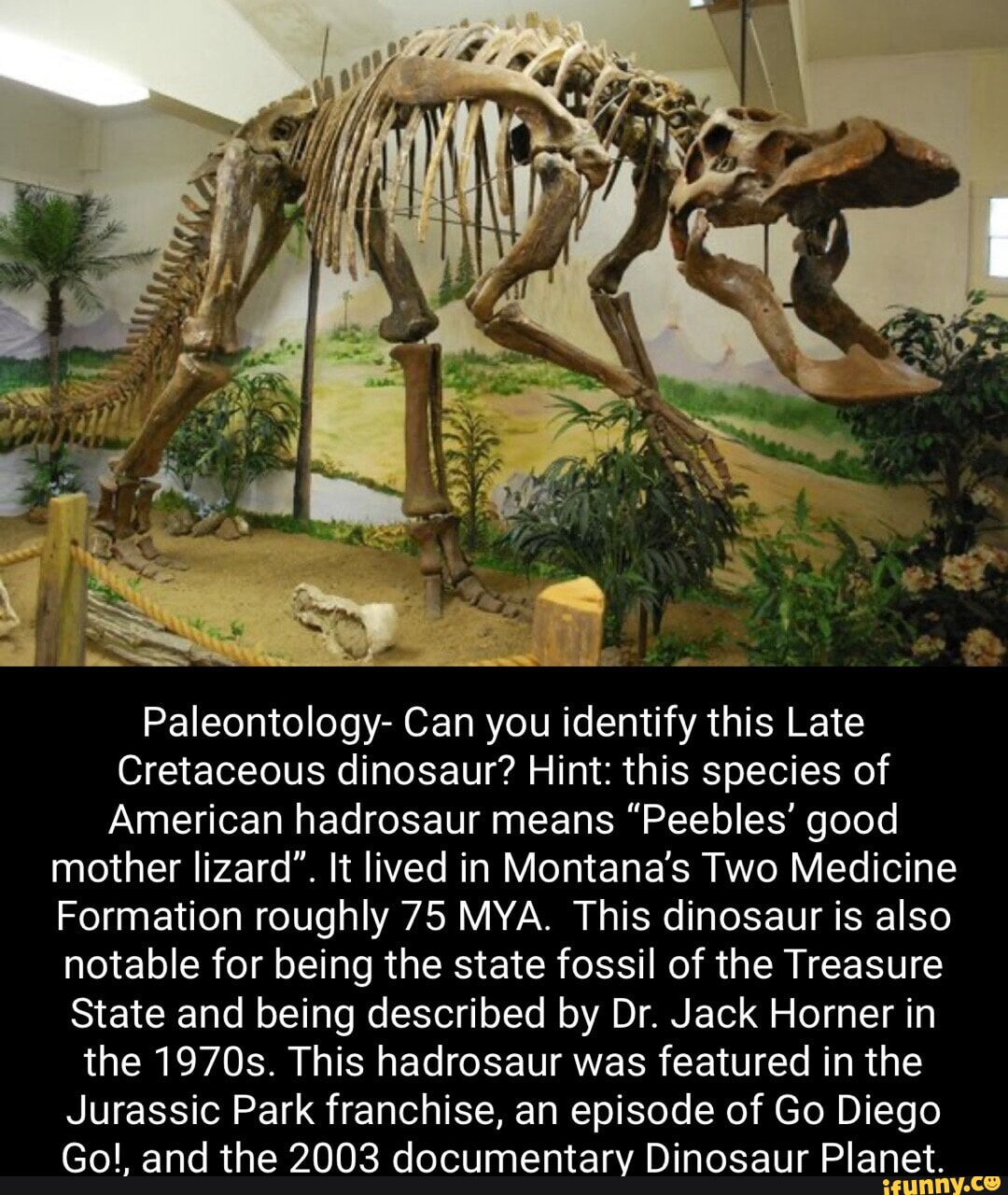 Peebles memes. Best Collection of funny Peebles pictures on iFunny