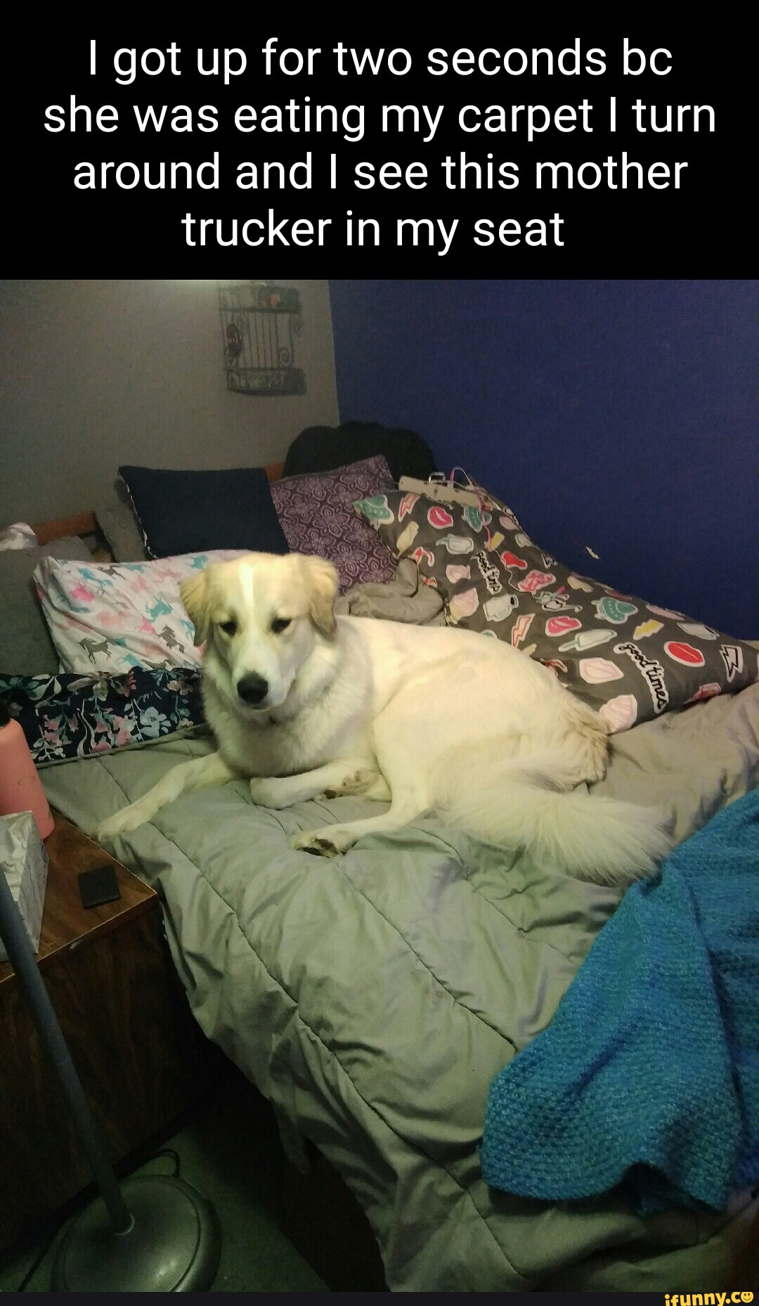 Seat memes. Best Collection of funny Seat pictures on iFunny