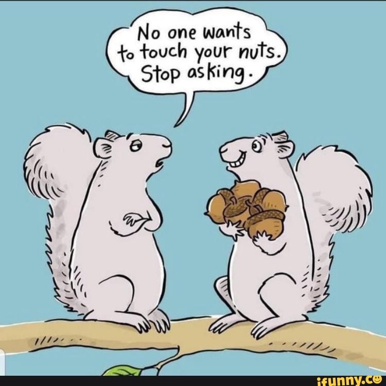 Nuts memes. Best Collection of funny Nuts pictures on iFunny