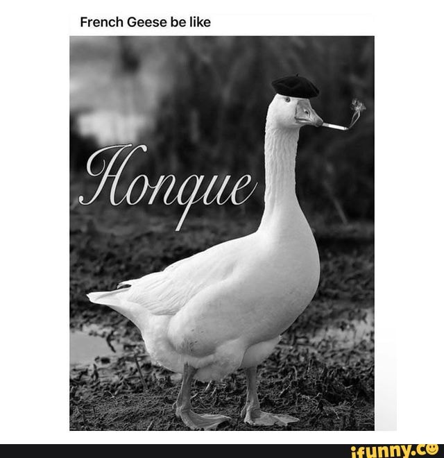 French Geese be like - iFunny