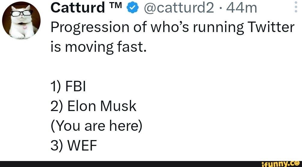 Catturd @ @catturd2 Progression of who's running Twitter is moving fast ...