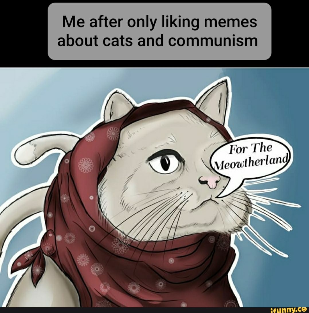 Me after only liking memes about cats and communism - iFunny