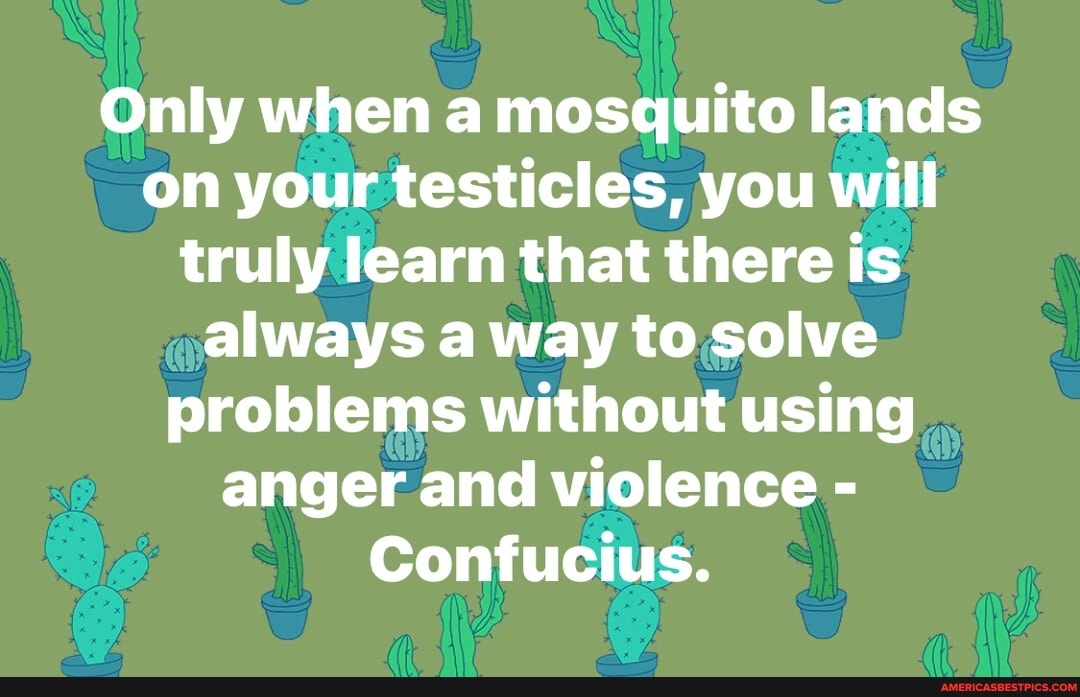 SS Only when a mosquito lands on your testicles, you will truly learn ...