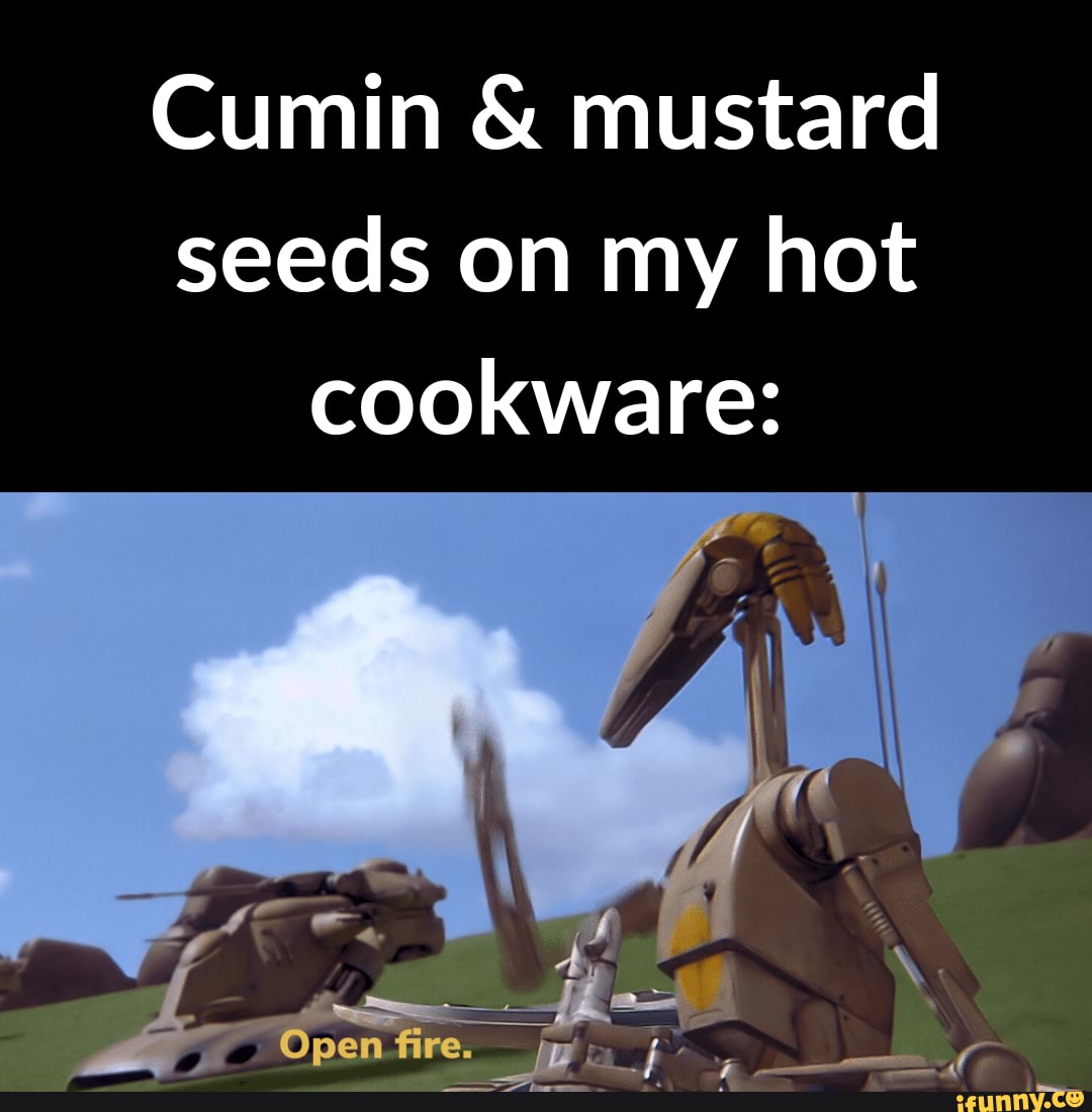 Prequel Memes for my house - Cumin & mustard seeds on my hot cookware ...