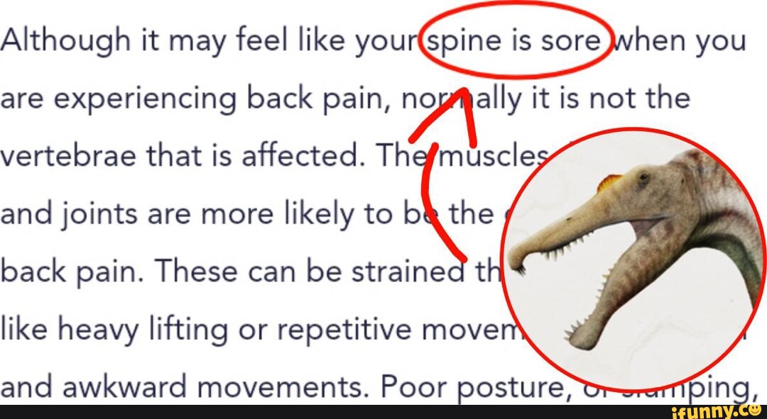 Joints memes. Best Collection of funny Joints pictures on iFunny