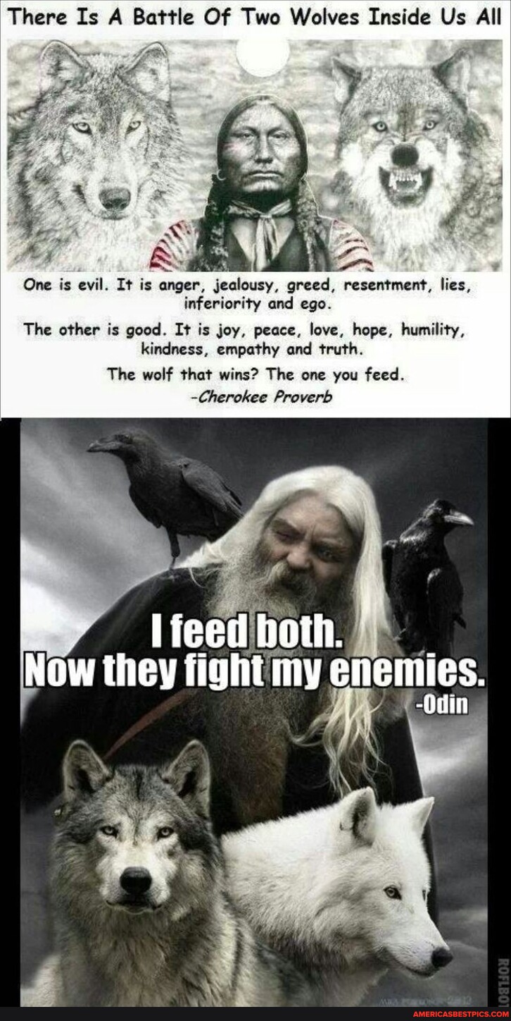 There Is A Battle Of Two Wolves Inside Us All One is evil. It is anger ...