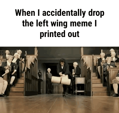 When I accidentally drop the left wing meme I printed out - iFunny