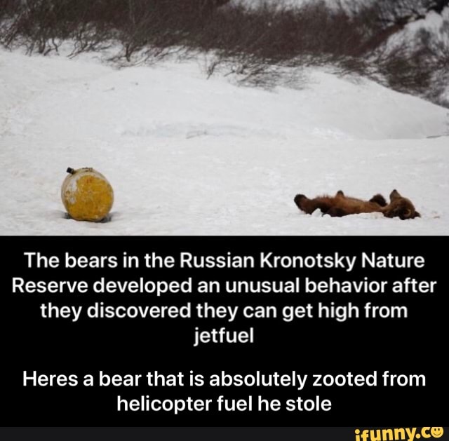 Kronotsky memes. Best Collection of funny Kronotsky pictures on iFunny