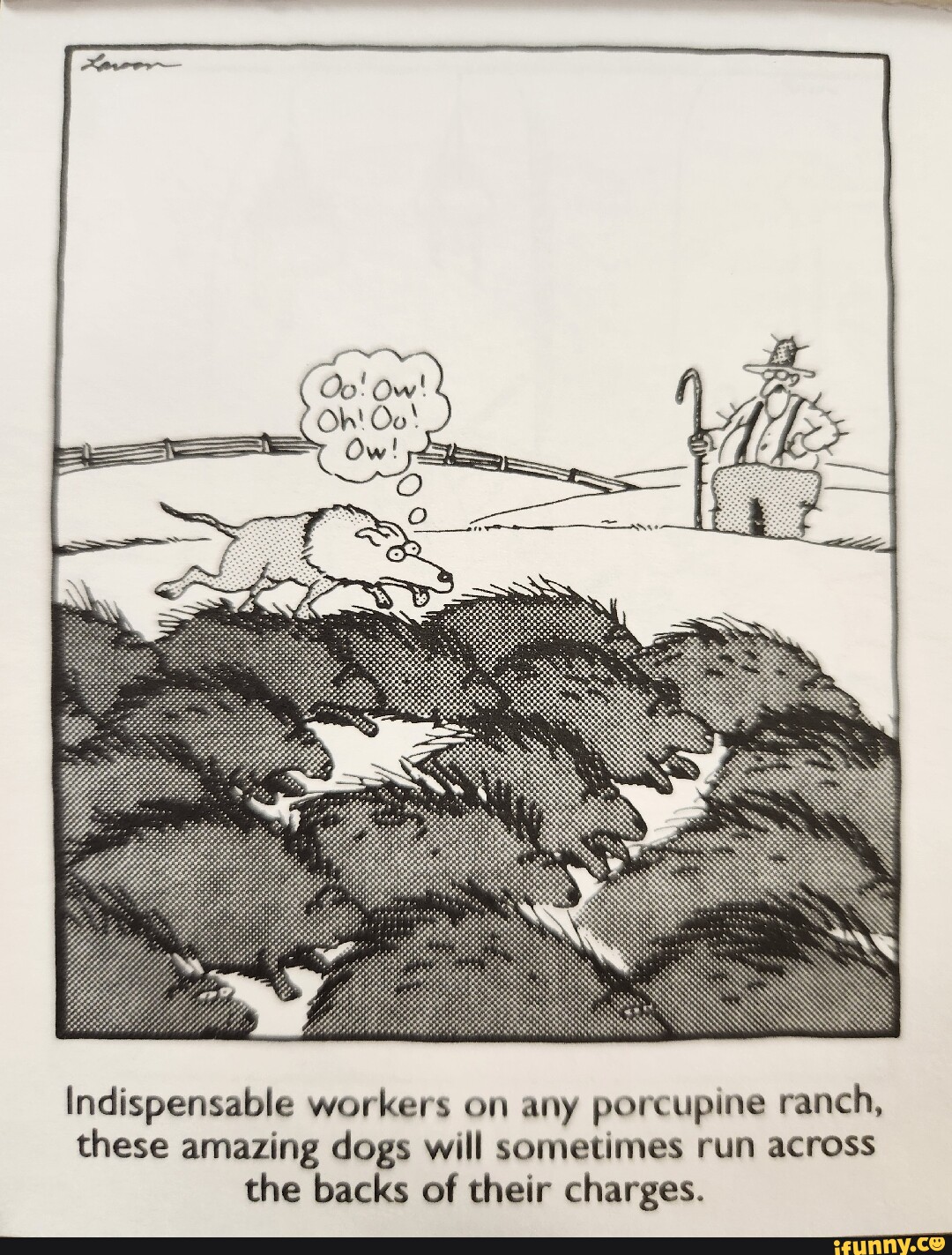 Indispensable memes. Best Collection of funny Indispensable pictures on ...