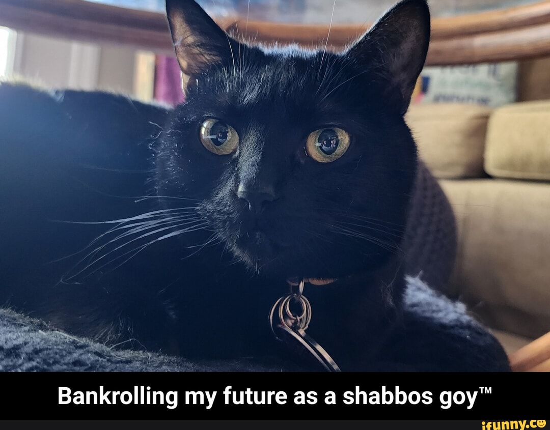 Shabat Goy Memes