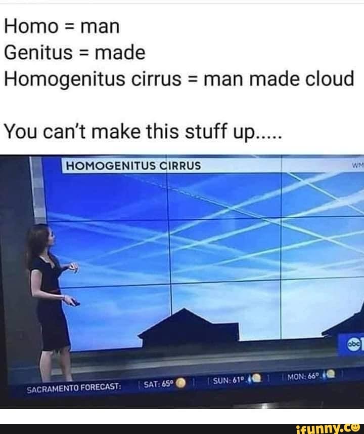 Homo = man Genitus = made Homogenitus cirrus = man made cloud You can't ...