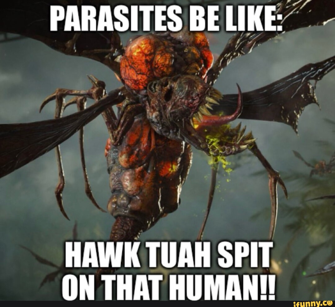 PARASITES BE LIKE: HAWK TUAH SPIT ON THAT HUMAN!! - iFunny