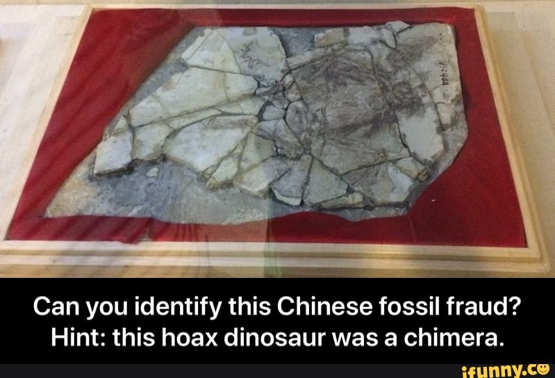 Fakedinosaur memes. Best Collection of funny Fakedinosaur pictures on ...