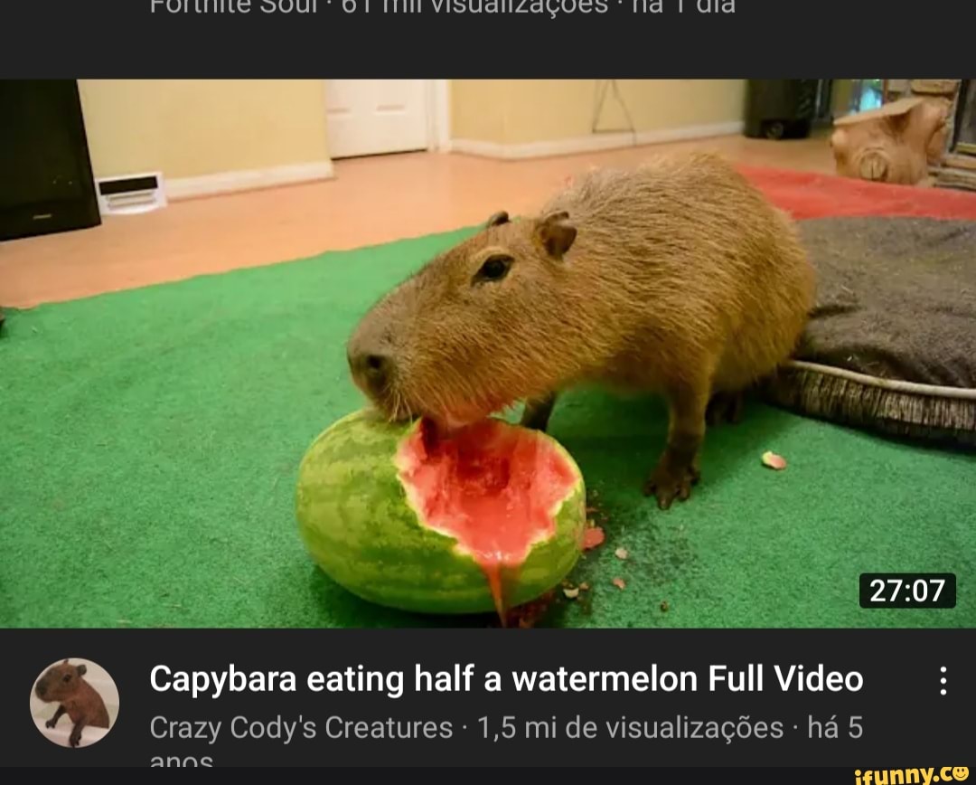 UL Ula Capybara eating half a watermelon Full Video Crazy Cody's ...