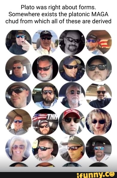 Forms memes. Best Collection of funny Forms pictures on iFunny