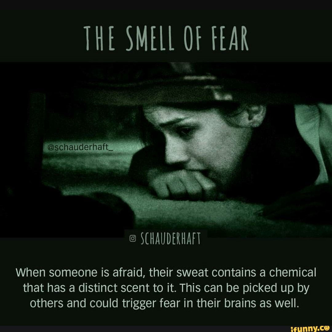 THE SMELL OF TEAR When someone is afraid, their sweat contains a ...