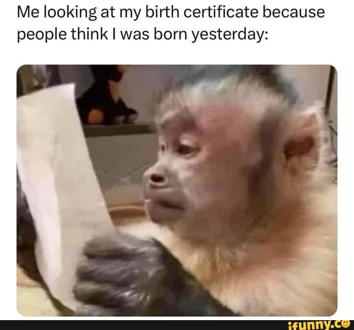 Certificate memes. Best Collection of funny Certificate pictures on iFunny