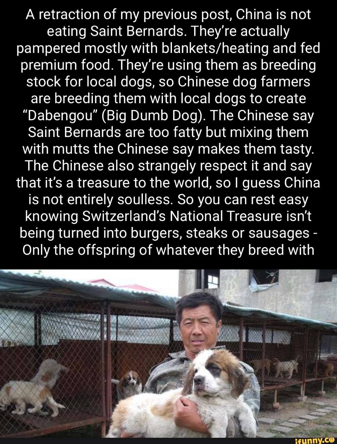 Bernards memes. Best Collection of funny Bernards pictures on iFunny