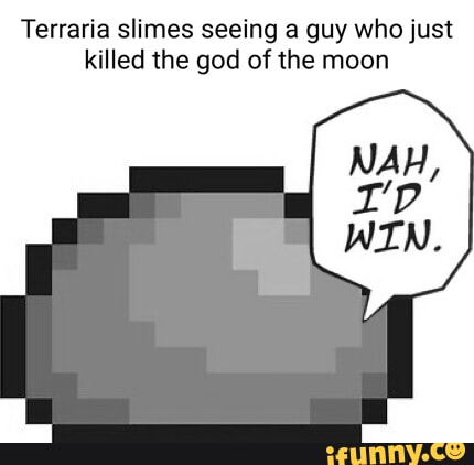 Terraria slimes seeing a guy who just killed the god of the moon - iFunny