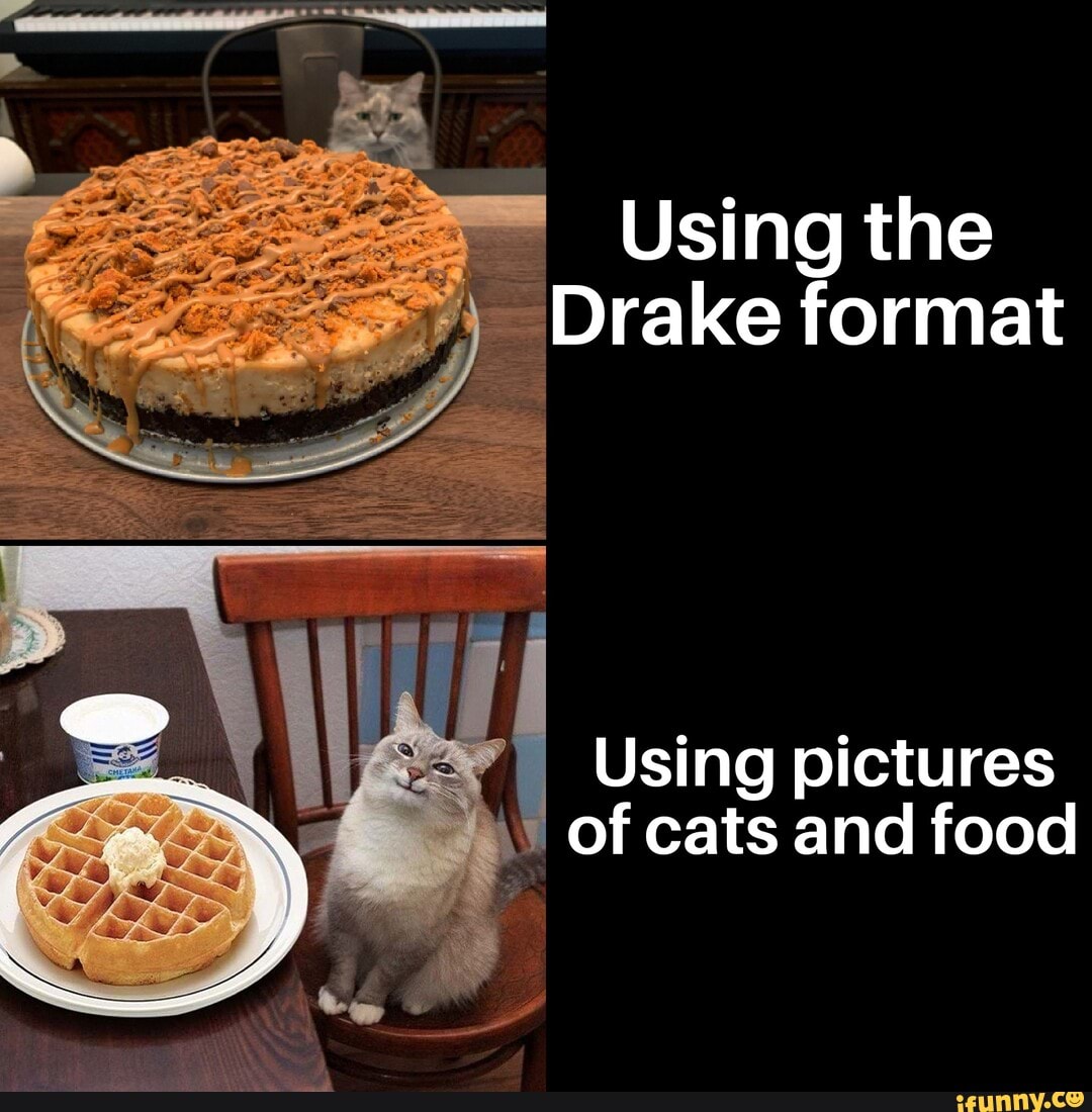 Using the Drake format Using pictures of cats and food - iFunny