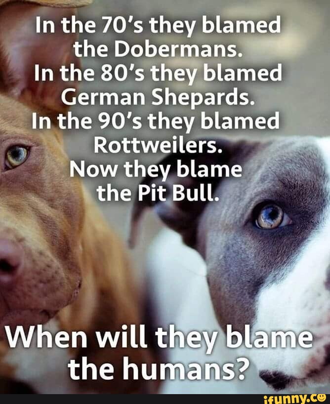 Dobermans memes. Best Collection of funny Dobermans pictures on iFunny