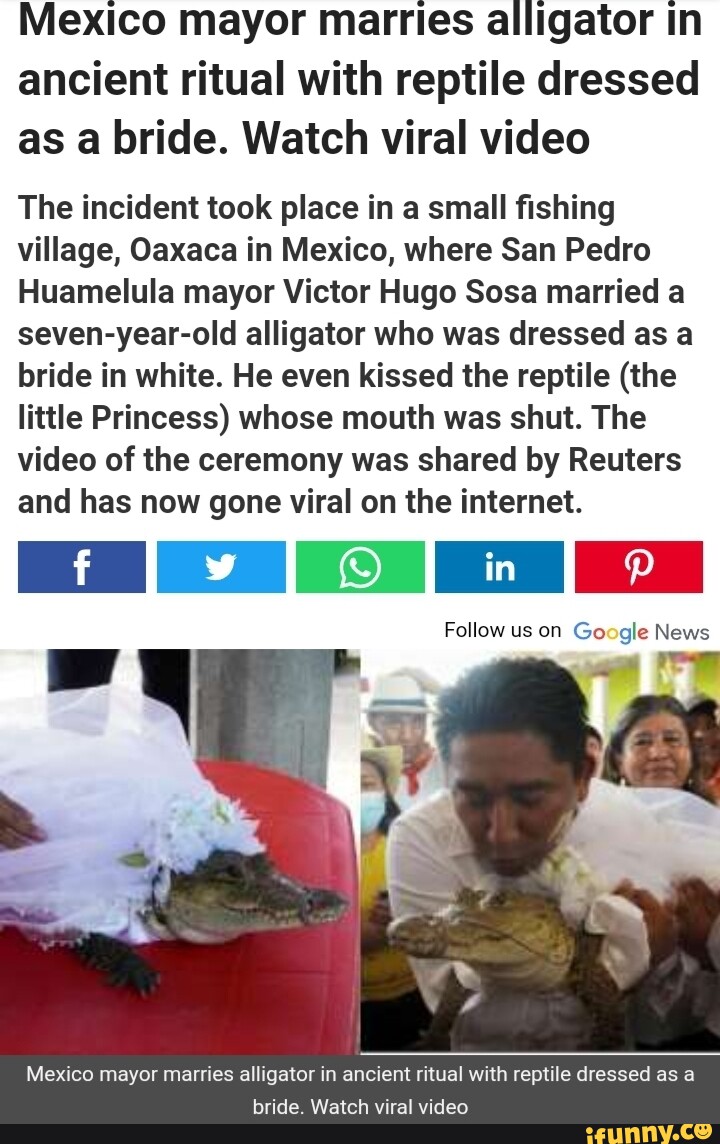 Mexico mayor marries alligator in ancient ritual with reptile dressed ...
