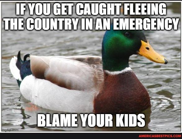 IF YOU GET CAUGHT FLEEING THE COUNTRY IN AN EMERGENCY, BIAMEVOURKINS ...