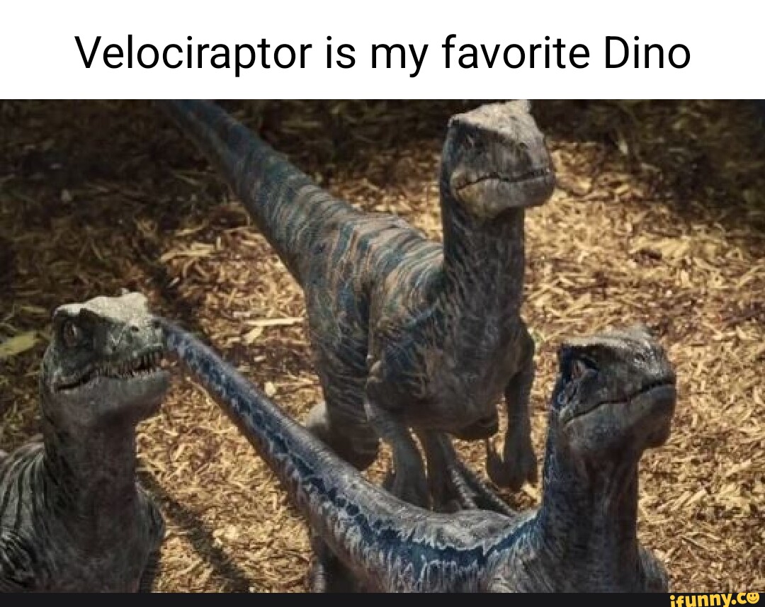 Velociraptor is my favorite Dino - iFunny
