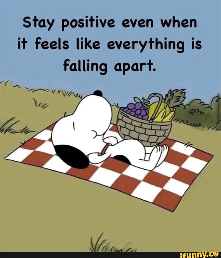 Stay memes. Best Collection of funny Stay pictures on iFunny