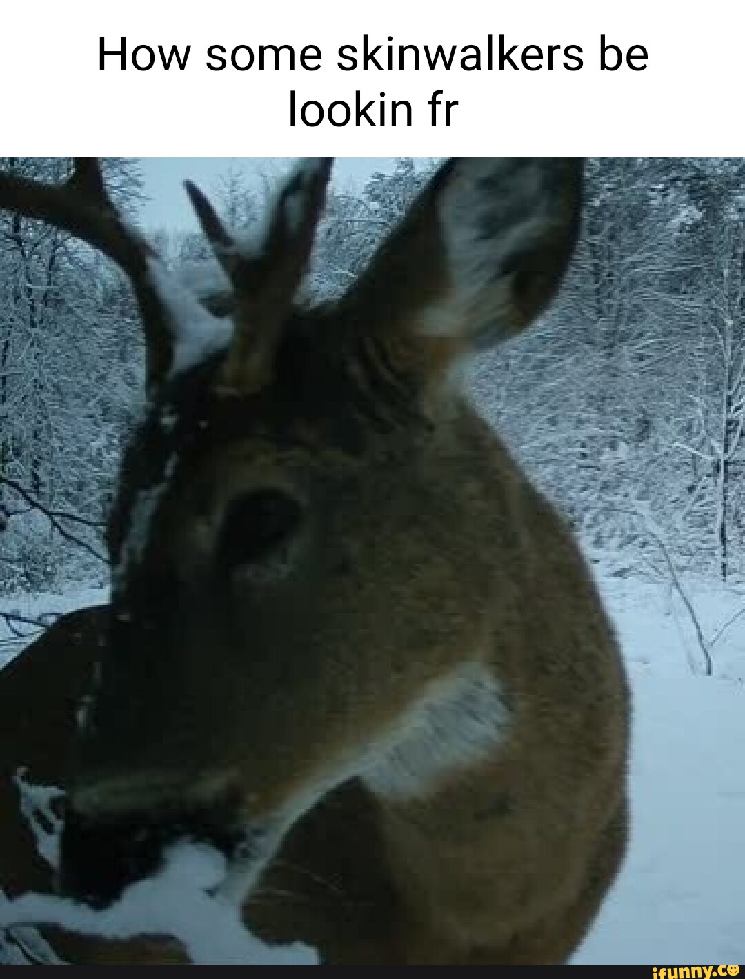 How some skinwalkers be lookin fr - iFunny