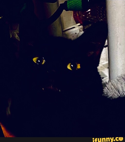 Cwispy memes. Best Collection of funny Cwispy pictures on iFunny