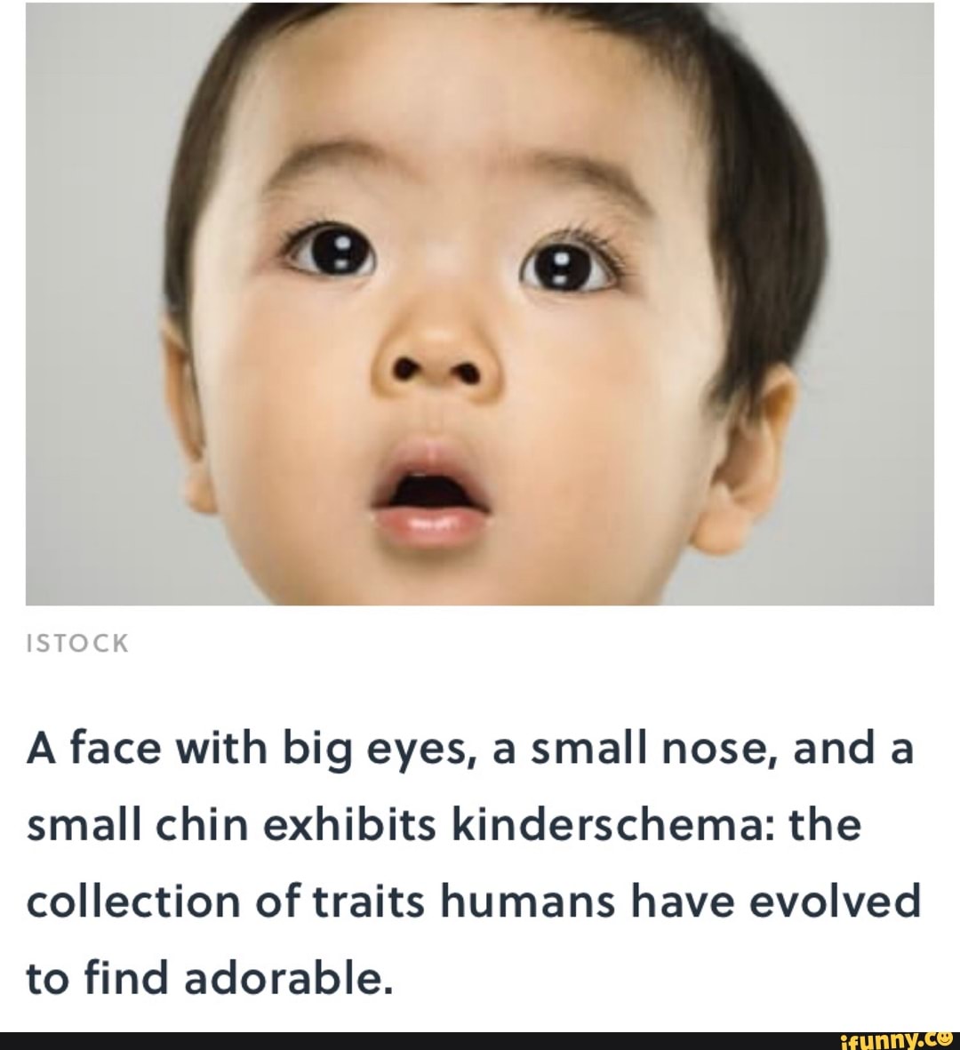 A face with big eyes, a small nose, and a small chin exhibits ...