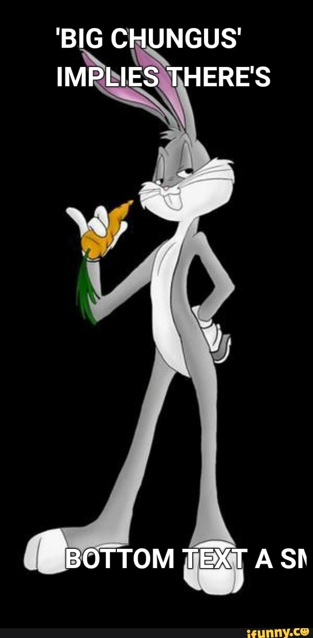 What Does Chungus Mean Slang By Dictionarycom