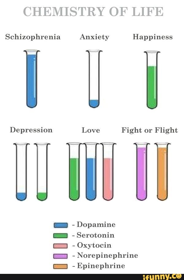 Norepinephrine memes. Best Collection of funny Norepinephrine pictures ...