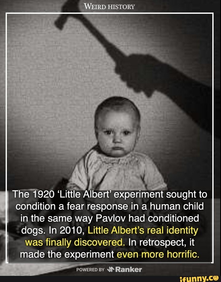 HISTORY The 1920 'Little Albert' experiment sought to condition a fear ...