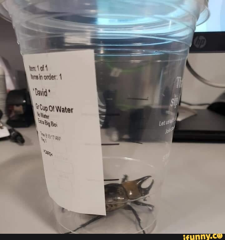 War order: 4 "David* Cup of Water - iFunny