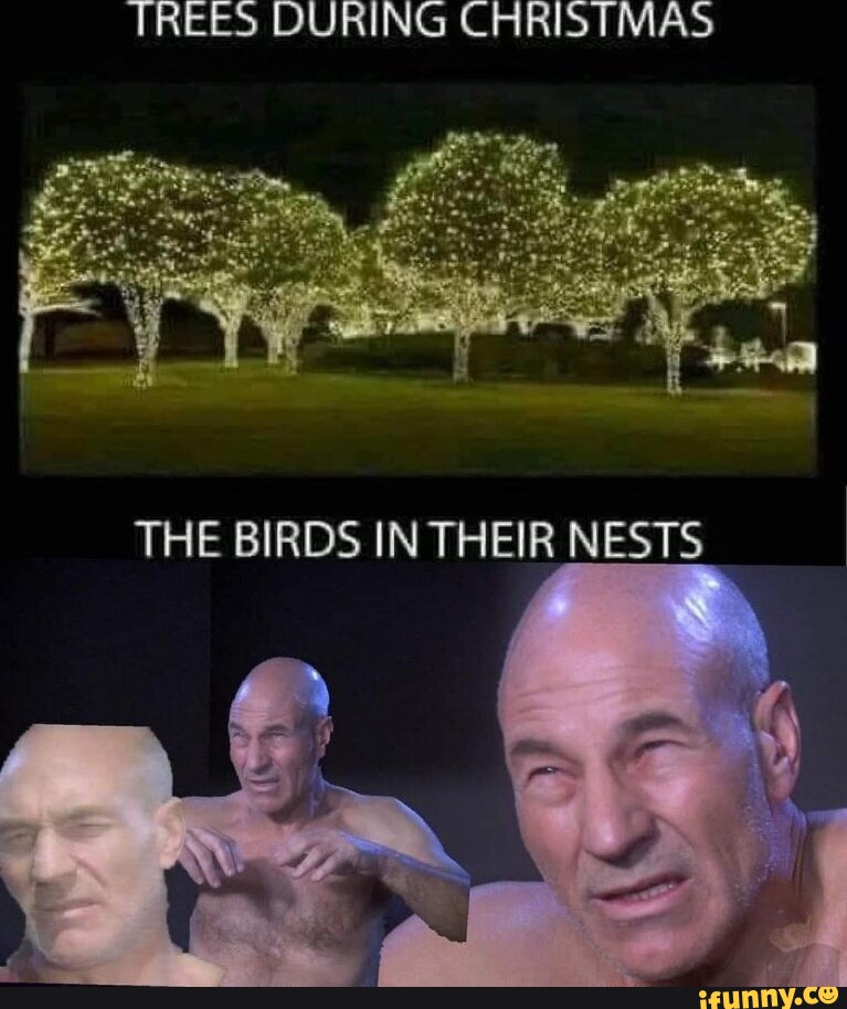 TREES DURING CHRISTMAS THE BIRDS IN THEIR NESTS - iFunny